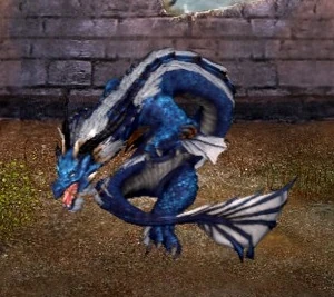 Shunji | Dragons Prophet - Europe Wiki | Fandom