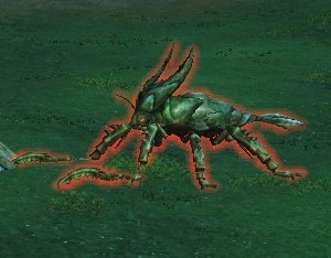 Jade Beetle | Dragons Prophet - Europe Wiki | Fandom