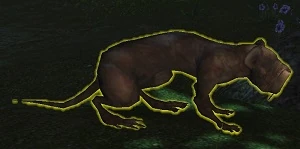 Apurian Digger Rat | Dragons Prophet - Europe Wiki | Fandom