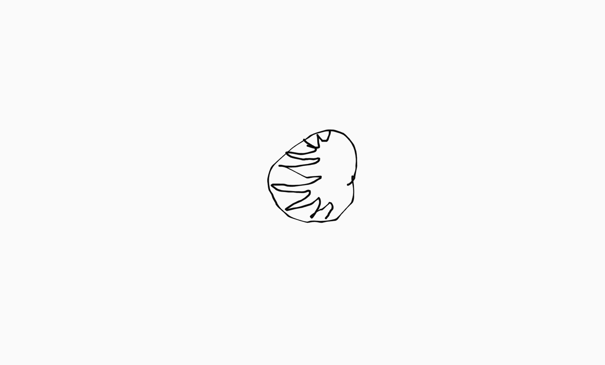 Dramillon | Dragons rise of berk 2 Wiki | Fandom