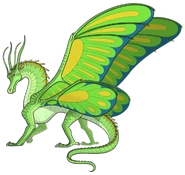 SilkWings (WoF) | Dragons | Fandom