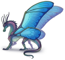 Blue | Dragons | Fandom