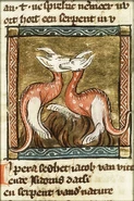Wyvern | Dragons | Fandom