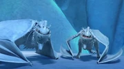 Snow Wraith | Dragons | Fandom