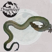 Lindworm (Dragonology) | Dragons | Fandom