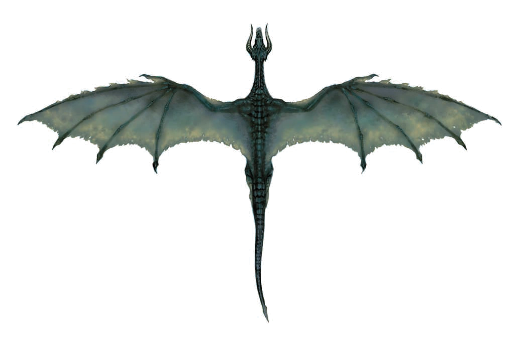 Chromatic Dragons (Dungeons & Dragons) | Dragons | Fandom