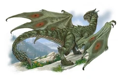 Wyvern | Dragons | Fandom