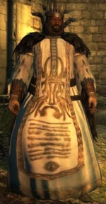 Philosopher's Robe | Dragon's Dogma Wiki | Fandom