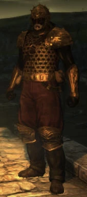 Golden Lion Set | Dragon's Dogma Wiki | Fandom