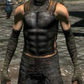 Hard Leather Plate | Dragon's Dogma Wiki | Fandom