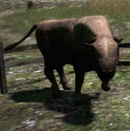 Ox | Dragon's Dogma Wiki | Fandom