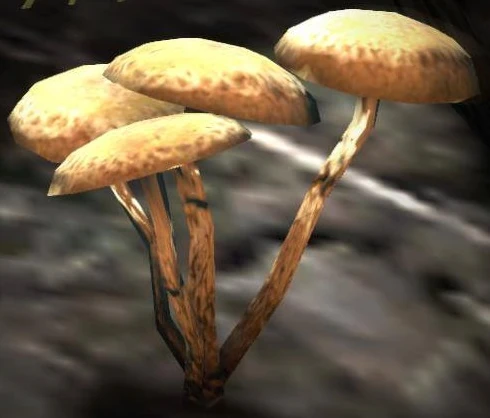 Toadstool Sitter | Dragon's Dogma Wiki | Fandom