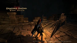 Dragon's Dogma Cockatrice Petrification