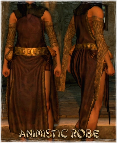 Animistic Robe | Dragon's Dogma Wiki | Fandom