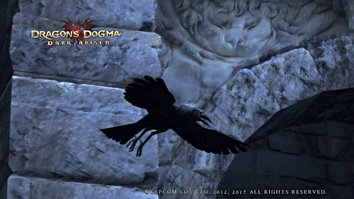 Crow | Dragon's Dogma Wiki | Fandom