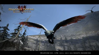 Snow Harpy | Dragon's Dogma Wiki | Fandom