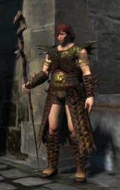 Heresy Armor Set | Dragon's Dogma Wiki | Fandom