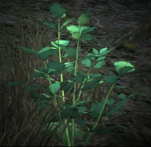 Mithridatium | Deutsches Dragon's Dogma Wiki | Fandom