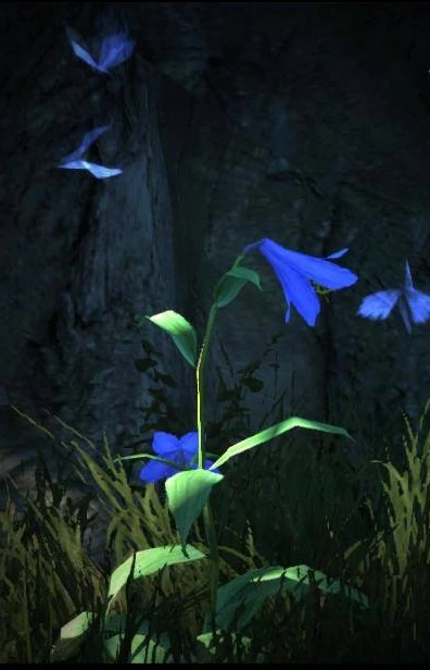 Loneflower | Dragon's Dogma Wiki | Fandom