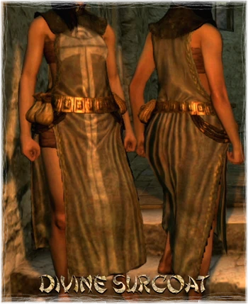 Divine Surcoat | Dragon's Dogma Wiki | Fandom