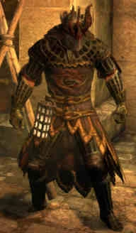 Immortal's Armor Set | Dragon's Dogma Wiki | Fandom