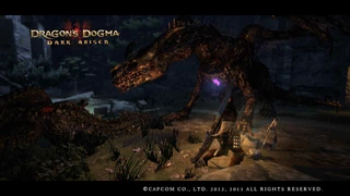 Cursed Dragon | Dragon's Dogma Wiki | Fandom