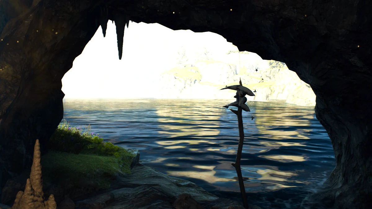 Coastal Cavern | Dragon's Dogma Wiki | Fandom