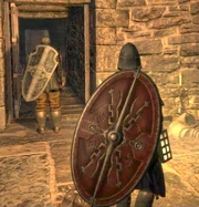 Mystic Knight | Dragon's Dogma Wiki | Fandom