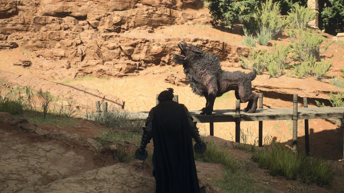 Garm (DD2) | Dragon's Dogma Wiki | Fandom