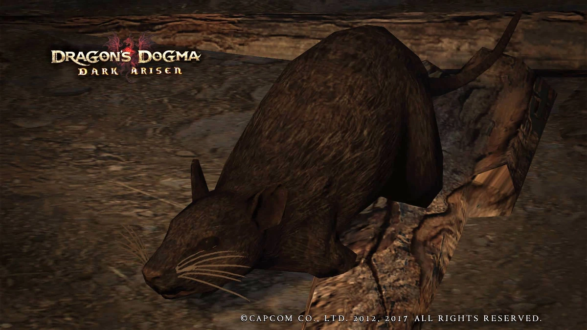 Large Rat | Dragon's Dogma Wiki | Fandom