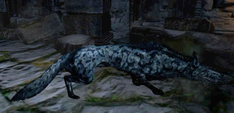 Warg | Dragon's Dogma Wiki | Fandom