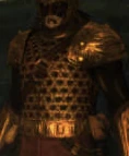 Golden Lion Padding | Dragon's Dogma Wiki | Fandom