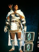Captain's Armor Set | Dragon's Dogma Wiki | Fandom