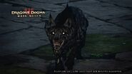 Warg | Dragon's Dogma Wiki | Fandom