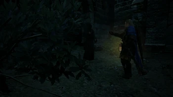 Chasing Shadows | Dragon's Dogma Wiki | Fandom