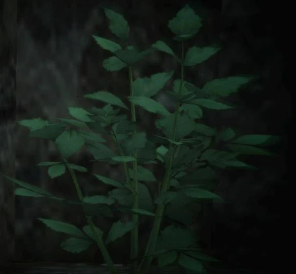 Bladeleaf | Dragon's Dogma Wiki | Fandom