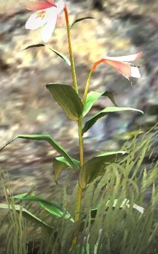 Grandblossom | Dragon's Dogma Wiki | Fandom