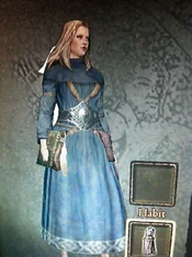 Sage's Robe | Dragon's Dogma Wiki | Fandom