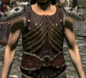 Bone Plate Armor | Dragon's Dogma Wiki | Fandom