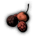 Berry | Dragon's Dogma Wiki | Fandom