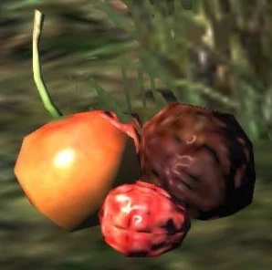 Berry | Dragon's Dogma Wiki | Fandom