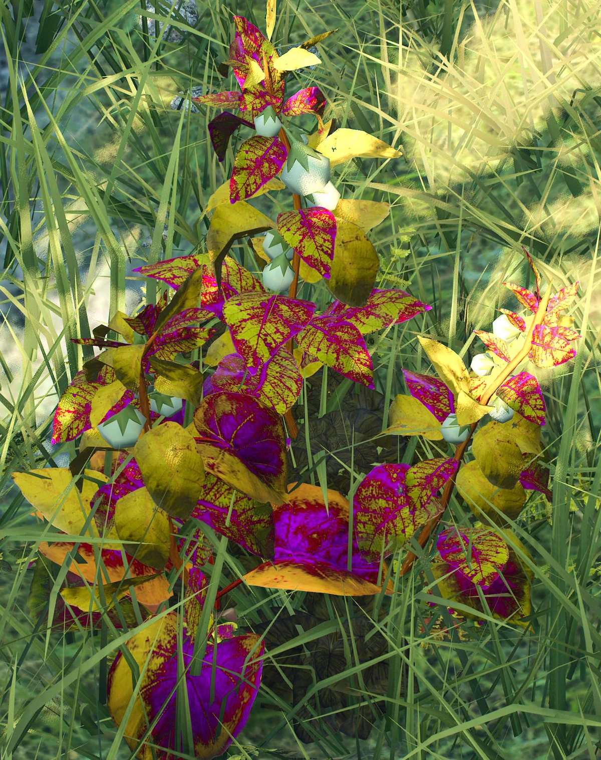 Syrupwort Leaf | Dragon's Dogma Wiki | Fandom