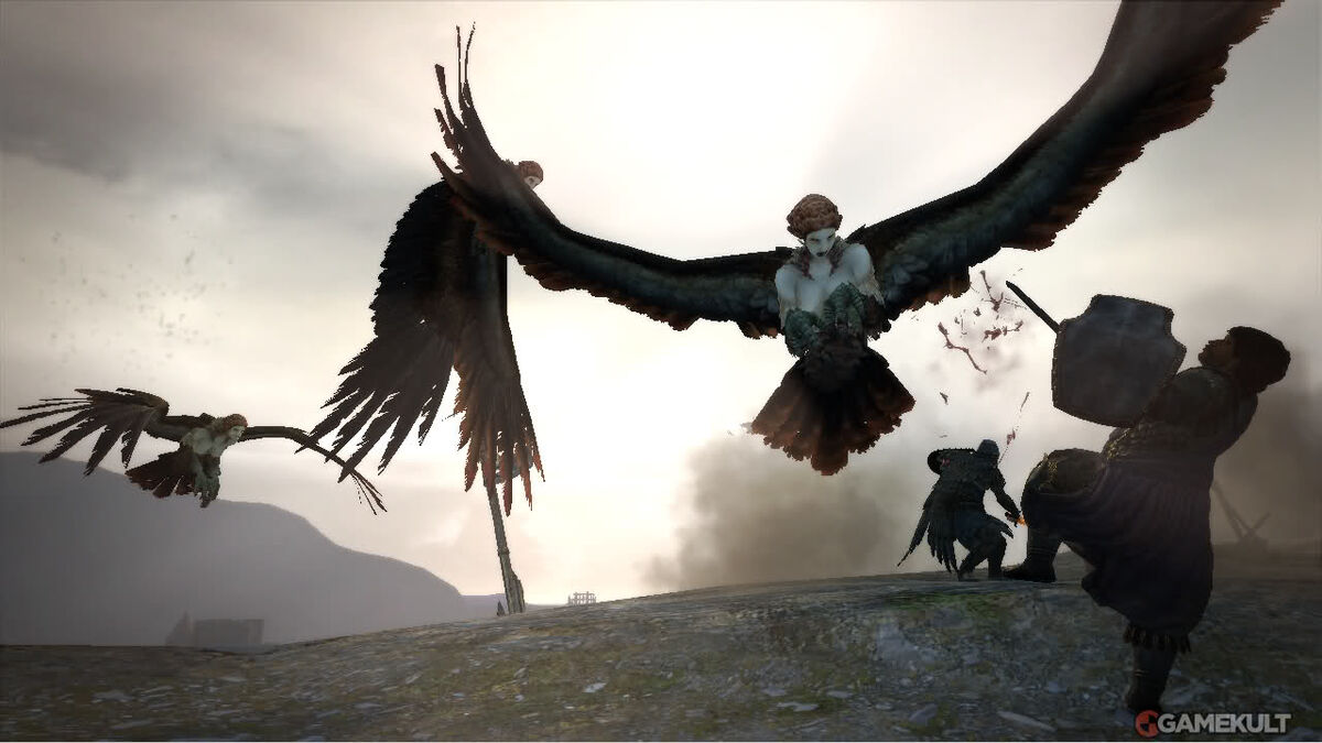 Harpy | Dragon's Dogma Wiki | Fandom