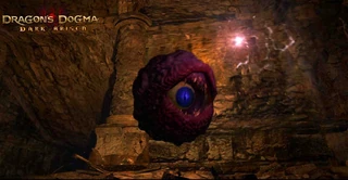 Vile Eye | Dragon's Dogma Wiki | Fandom