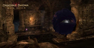Vile Eye | Dragon's Dogma Wiki | Fandom