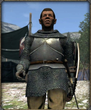 Ser Robert | Dragon's Dogma Wiki | Fandom