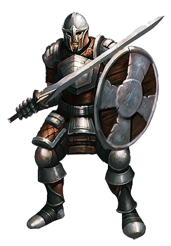 Enemy Fighter | Dragon's Dogma Quest Wiki | Fandom