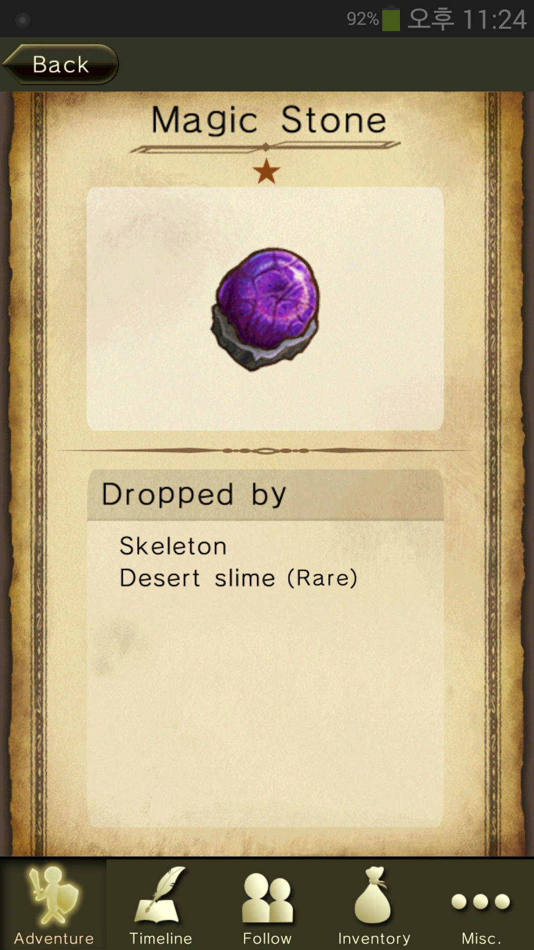 Magic Stone | Dragonseekers Wikia | Fandom