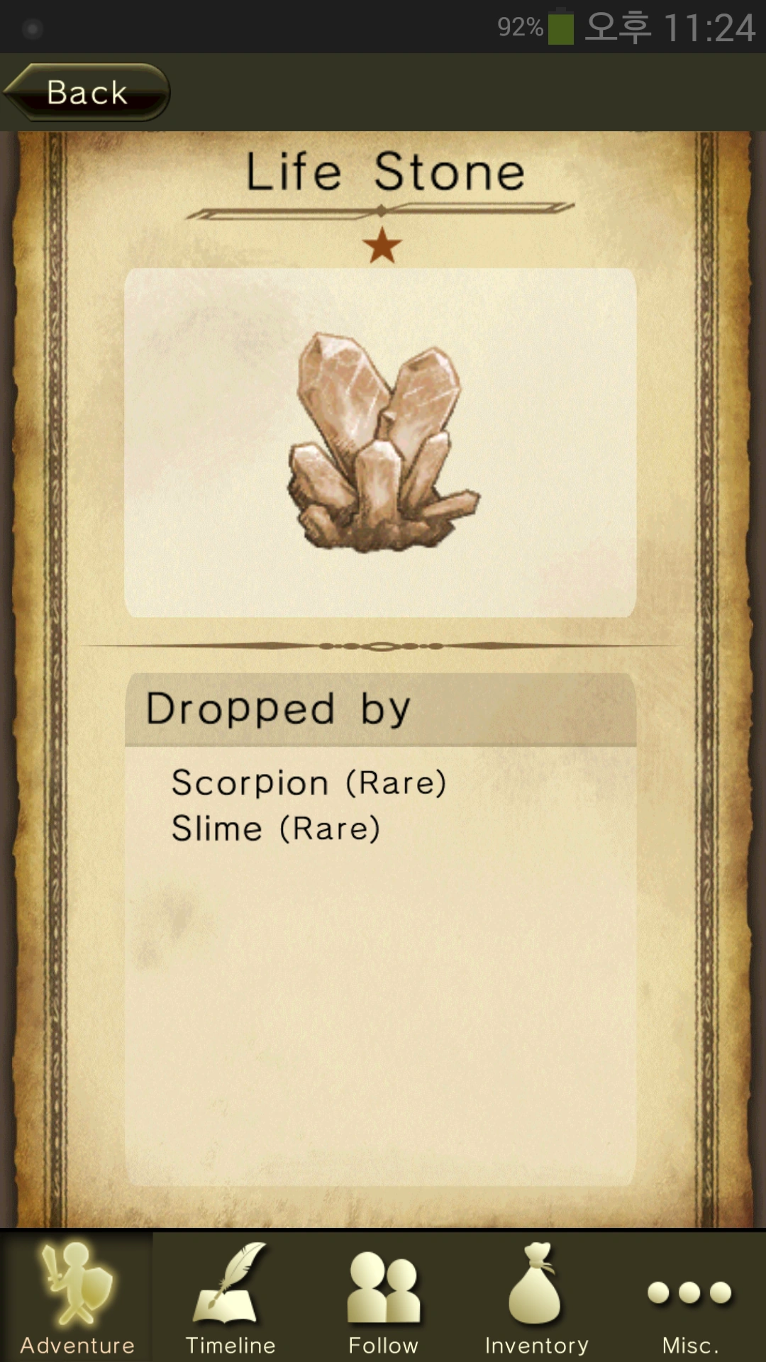 Life Stone | Dragonseekers Wikia | Fandom