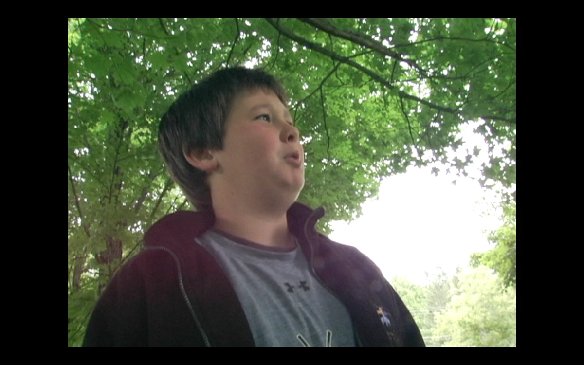 Category:Characters | Dragons in Our Midst Wiki | Fandom